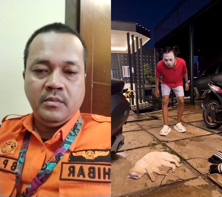 BEGO NGAGETIN KUCING TIDUR KASIAN LAGI TIDUR #trending #comedy #shorts ...