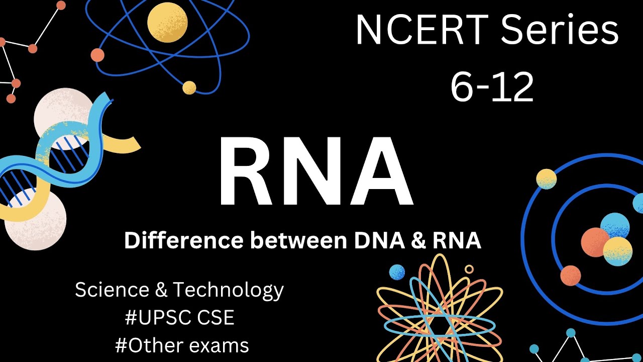 RNA Kya Hai? | DNA aur RNA Me Kya difference Hai? | Ncert series 6-12 Science & technology - YouTube