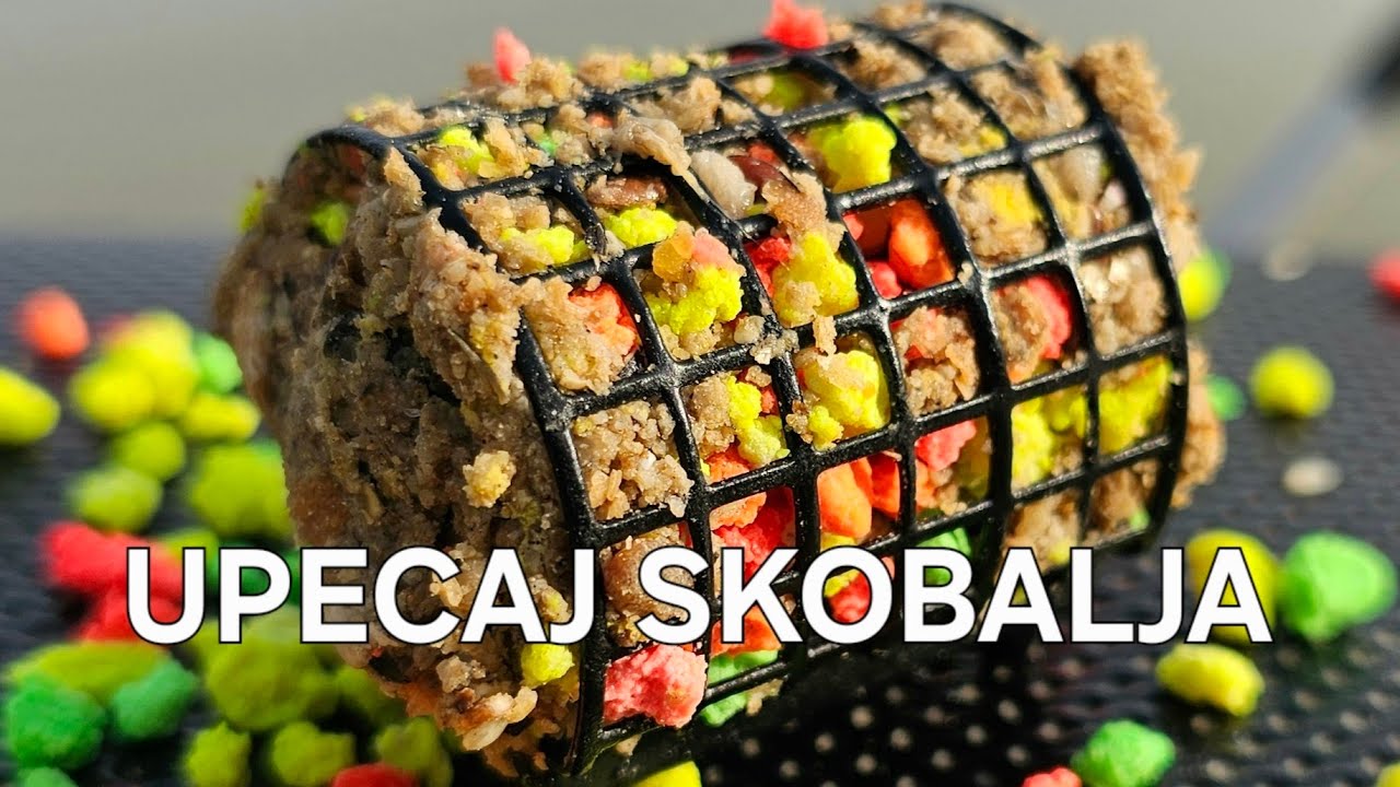 SKOBALJ SE AKTIVIRAO - FEEDER NA SAVI - YouTube