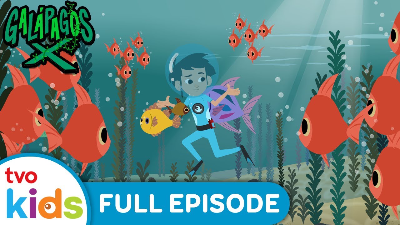 GALAPAGOS X - Kelpmania 🐠 NEW 2024 Show Season 1 Full Episode | TVOkids ...