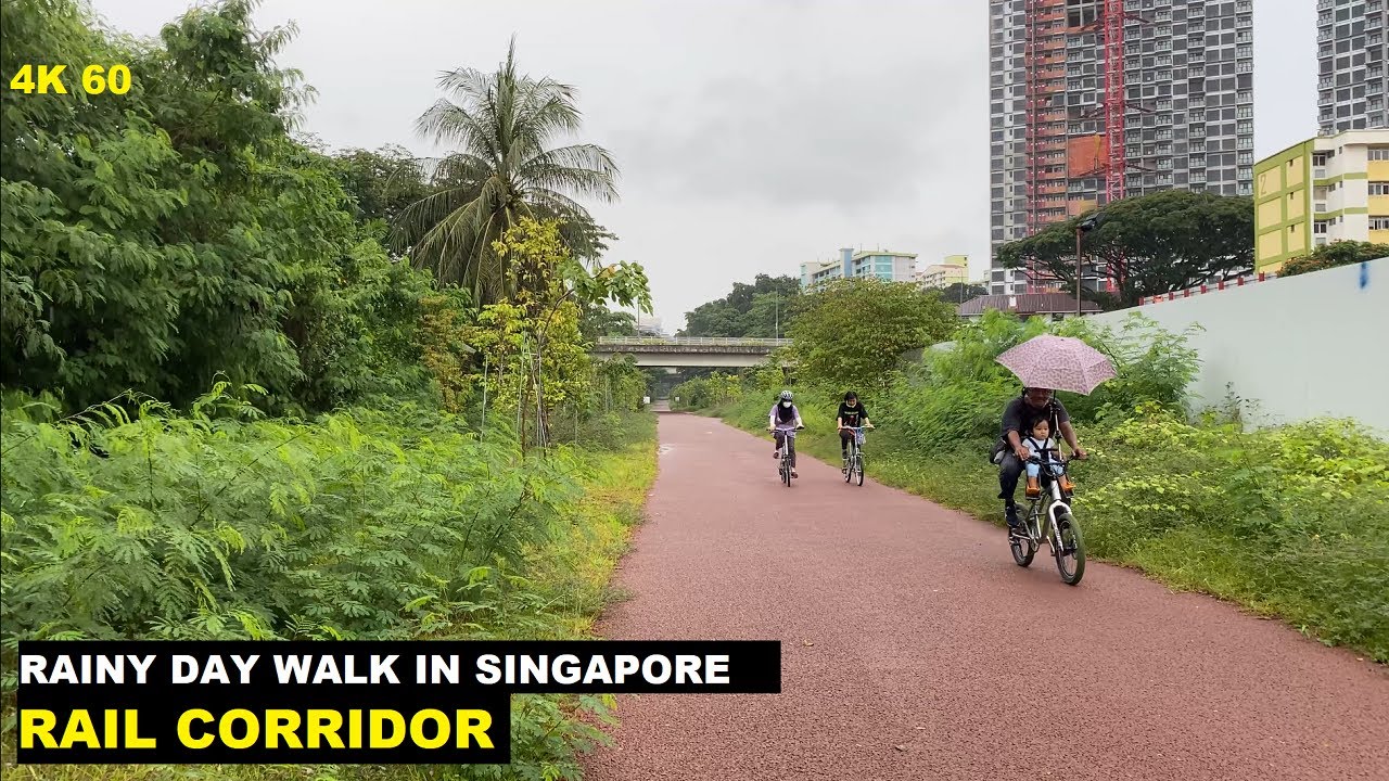 Singapore Rain Walk: Rail Corridor (Oct 2021) - YouTube