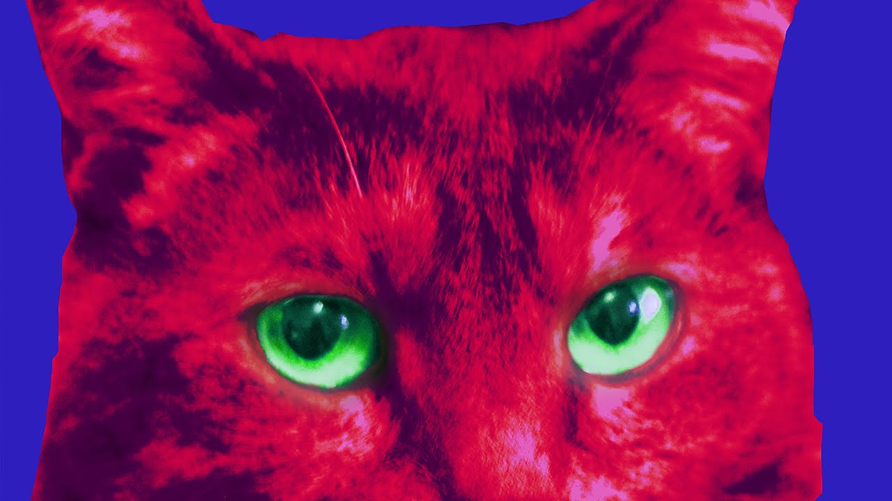 Choosy! The Wonder Cat - Meow Sample Pack [FREE DOWNLOAD] - YouTube