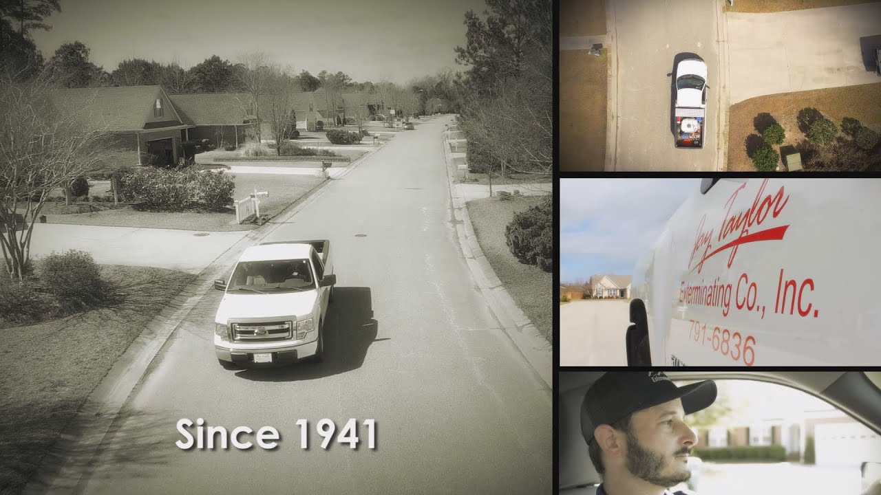 Jay Taylor - For over 75 years | HD WEB - YouTube