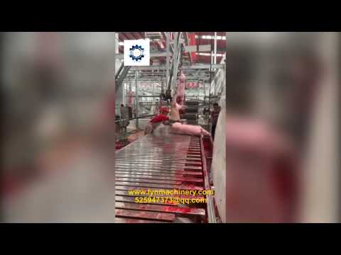 High Efficiency Pig Electric Stunner - YouTube