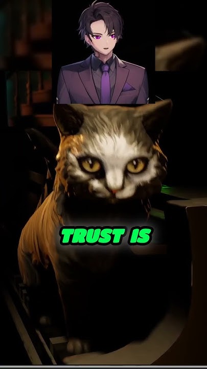 Never trust a cat! - YouTube