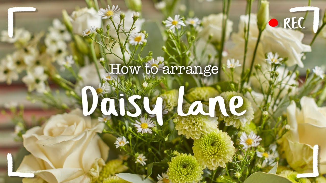 How to arrange "Daisy Lane" - YouTube