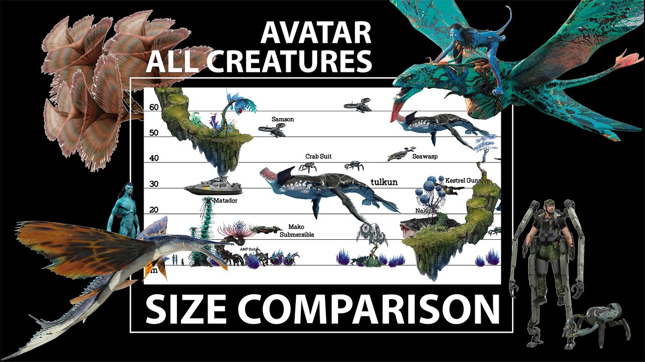 AVATAR ALL CREATURES COMPARISON | LOOKER - YouTube