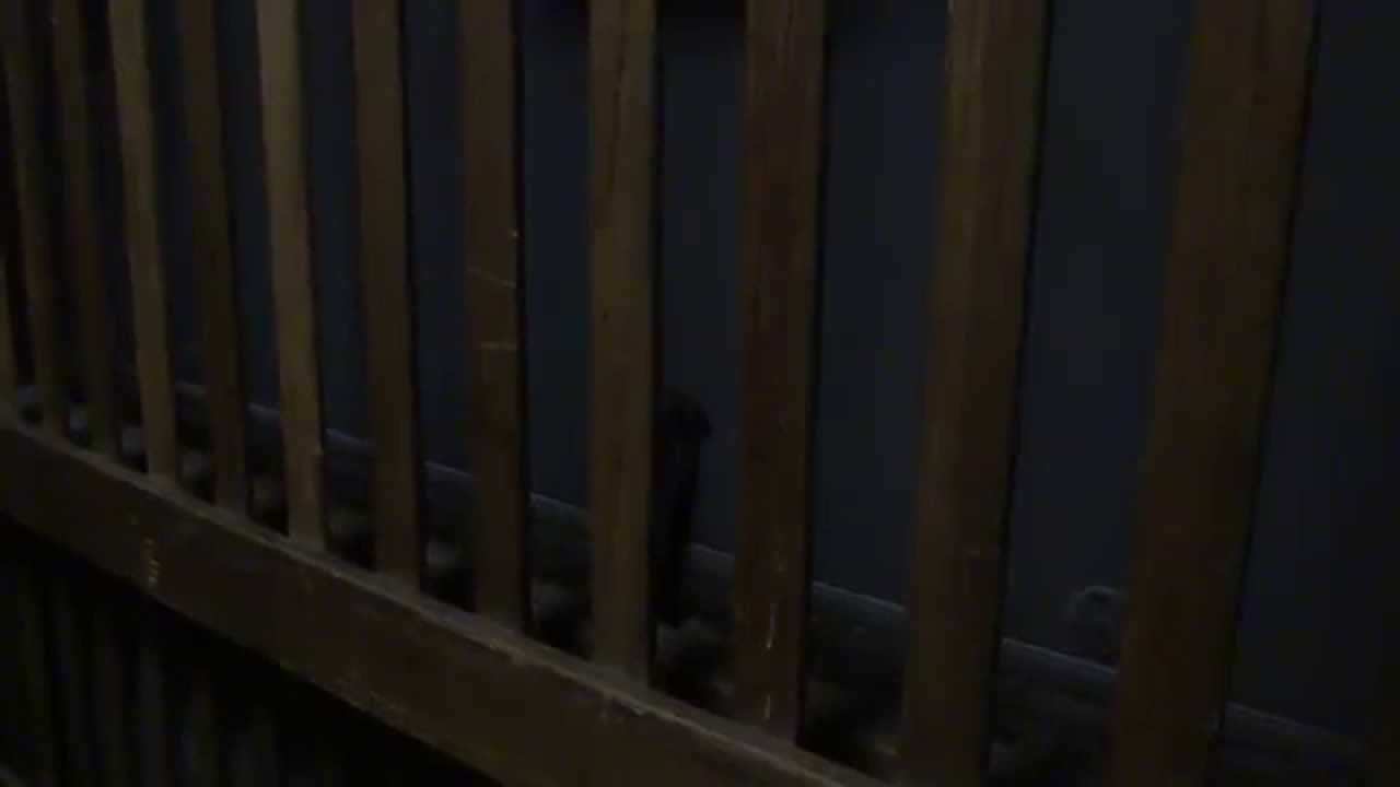 Antique ??? Hydraulic Freight Elevator @ UW Madison Van Vleck Hall ...