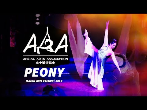Aerial Arts Association -  \