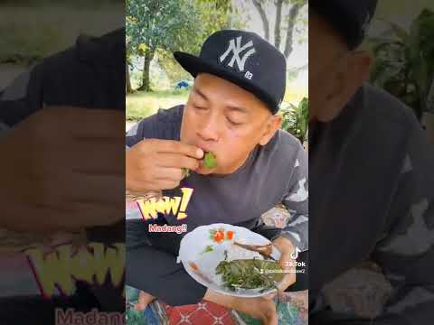 Comek Makan alias madang. mohon maaf lahir Batin. #idulfitri #colmek #madangowri