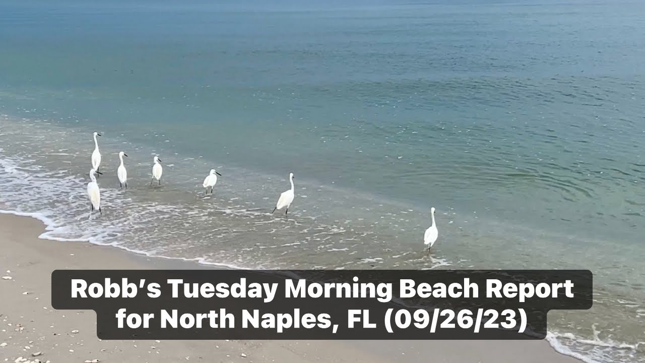Robb’s Tuesday Morning Beach Report for North Naples, FL (09/26/23 ...
