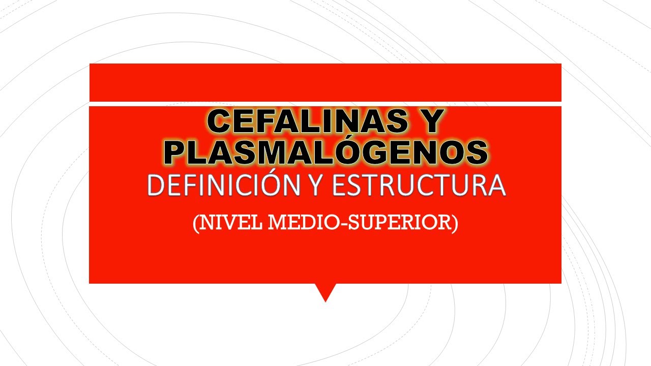 CEFALINAS Y PLASMALÓGENOS | DEFINICIÓN Y ESTRUCTURA (Nivel medio ...