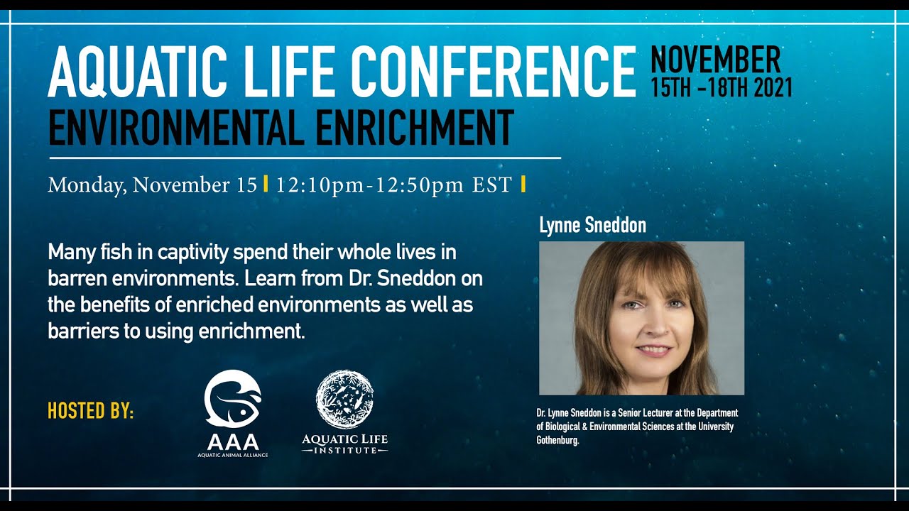 Environmental enrichment - The Aquatic Life Conference - Day 1 - YouTube