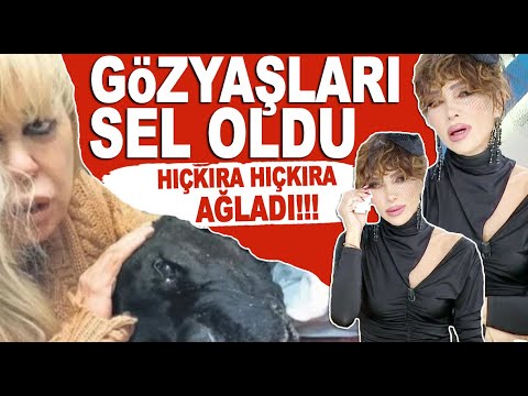 Seren Serengil canlı yayında gözyaşlarına boğuldu!!! Zerrin Özer'in köpeği...