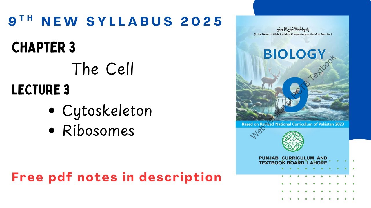 Biology class 9th | Chapter 3| Lecture Cytoskeleton and Ribosomes - YouTube