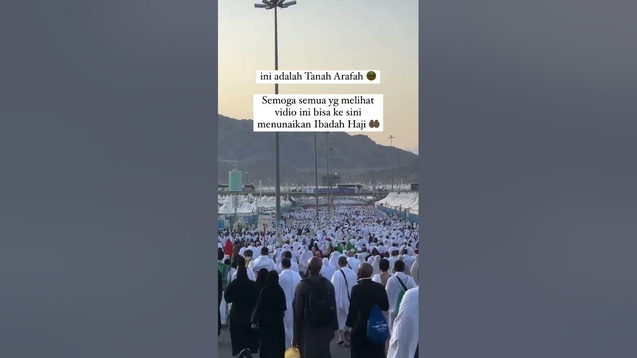 tanah arafah.jamaah sudah memenuhi Padang arafah. - YouTube