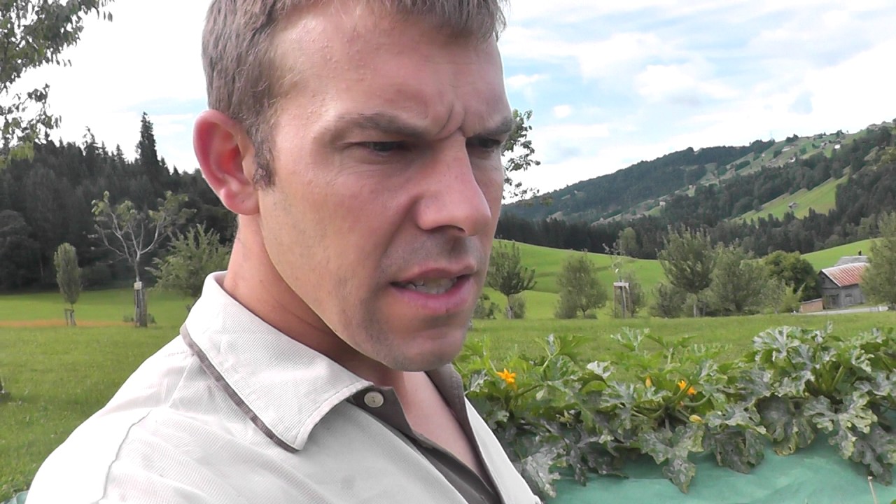 Bio Kartoffeln mitte Juli - YouTube