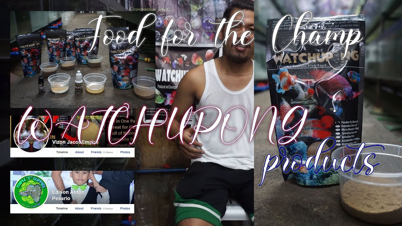 Champ fish food for guppies - YouTube