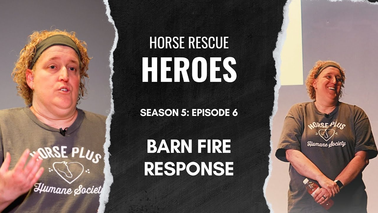 Barn Fire Response | Horse Rescue Heroes S5E6 - YouTube