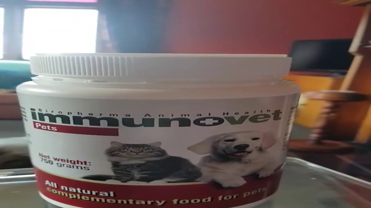 WE LOVE IMMUNOVET. A Long Term Users Testimonial. - YouTube