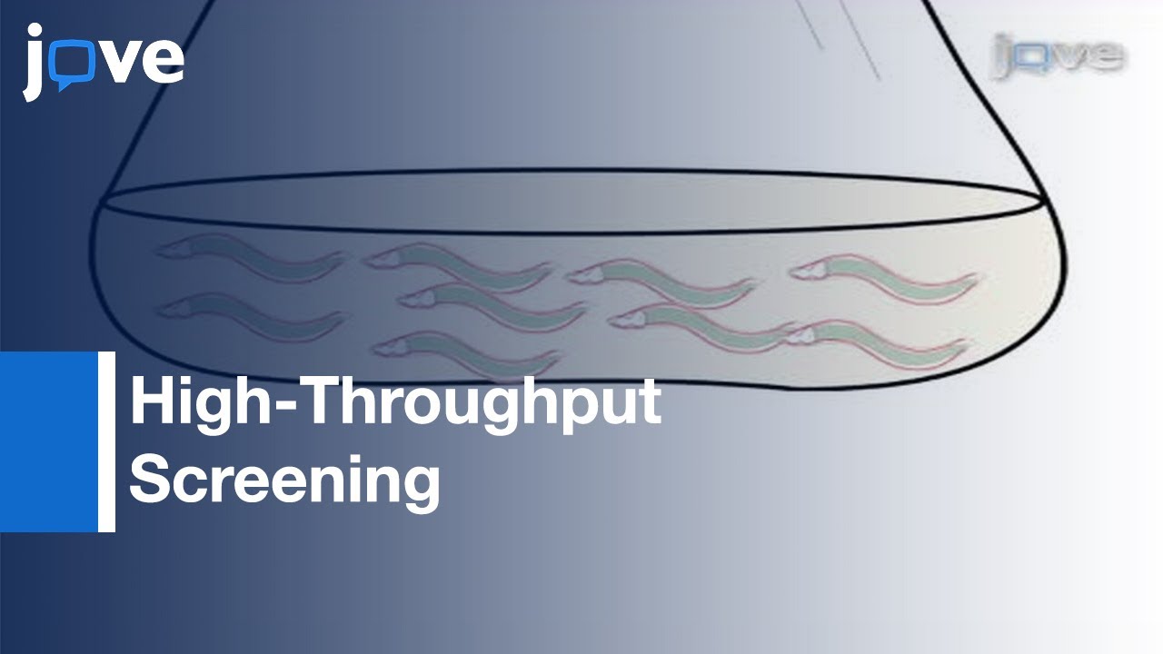High-Throughput Screening and Biosensing With Fluorescent C. elegans ...