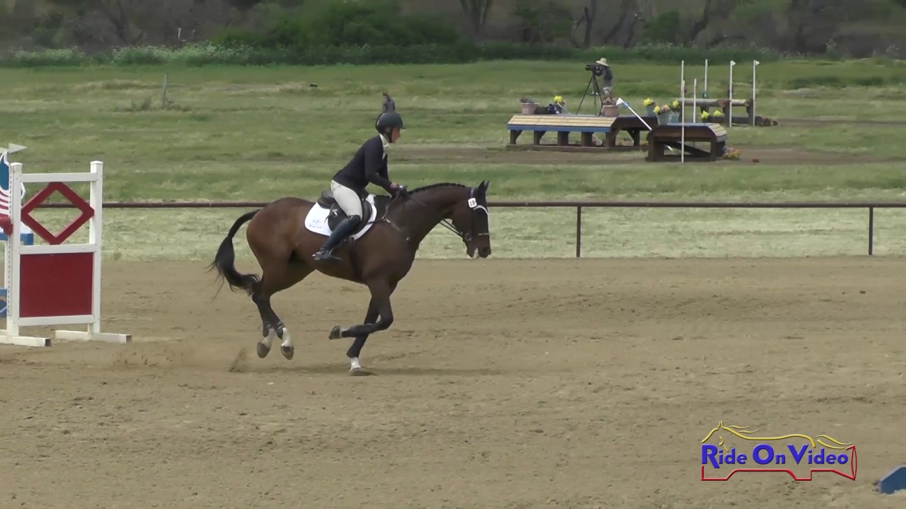018S Bec Braitling on Soaring Bird CCI2* Show Jumping Twin Rivers Ranch ...
