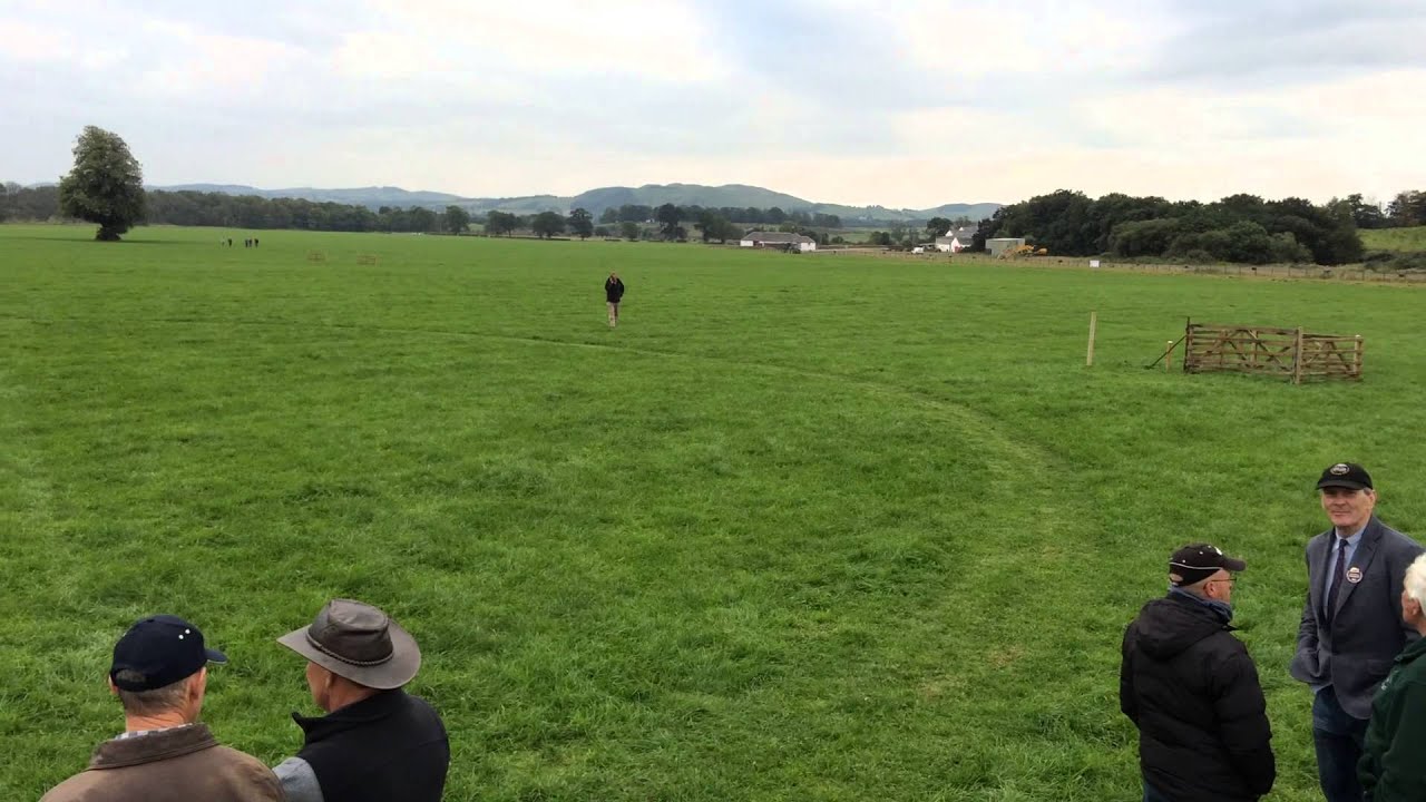 View of the 2015 International sheepdog trials course - YouTube