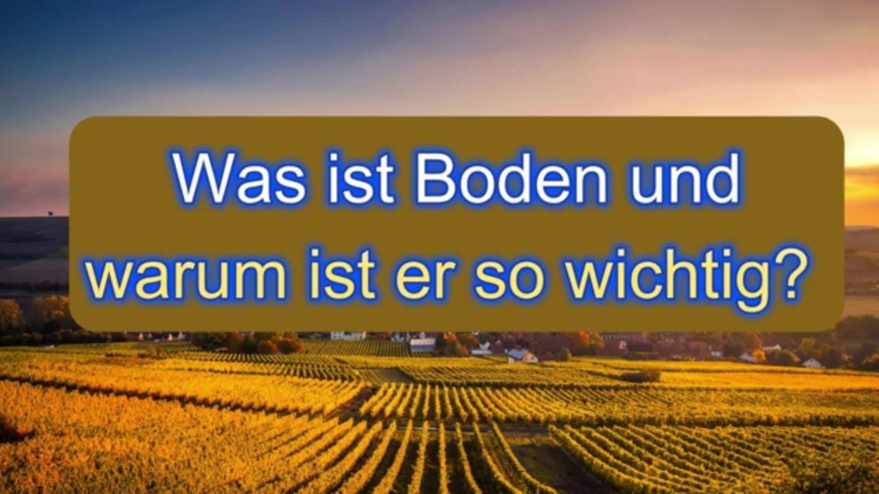 Grundlagen der Bodenkunde: Was ist Boden und warum ist er wichtig - YouTube