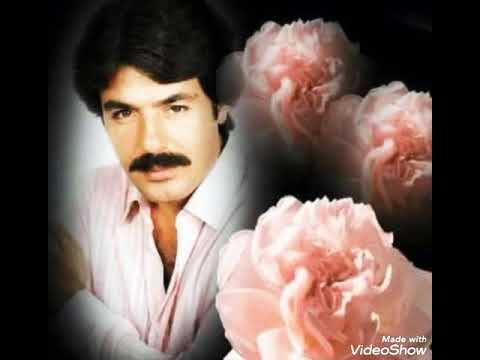 Ferdi Tayfur Senin Yerine remix