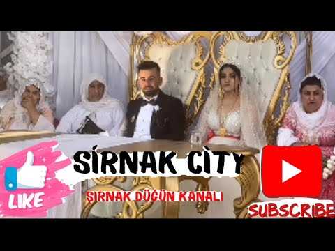 SİPAN KABUL DÜĞÜNÜ Şırnak city halay mutluluklar dileriz ❤️ #şırnakcity