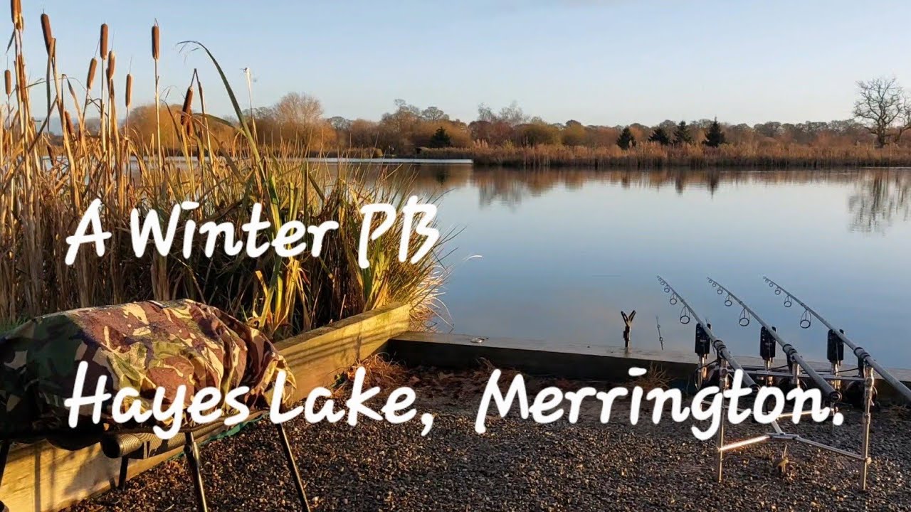 Winter Ticket PB - Hayes Lake - Merrington Carp Fishery - vlog #12 ...