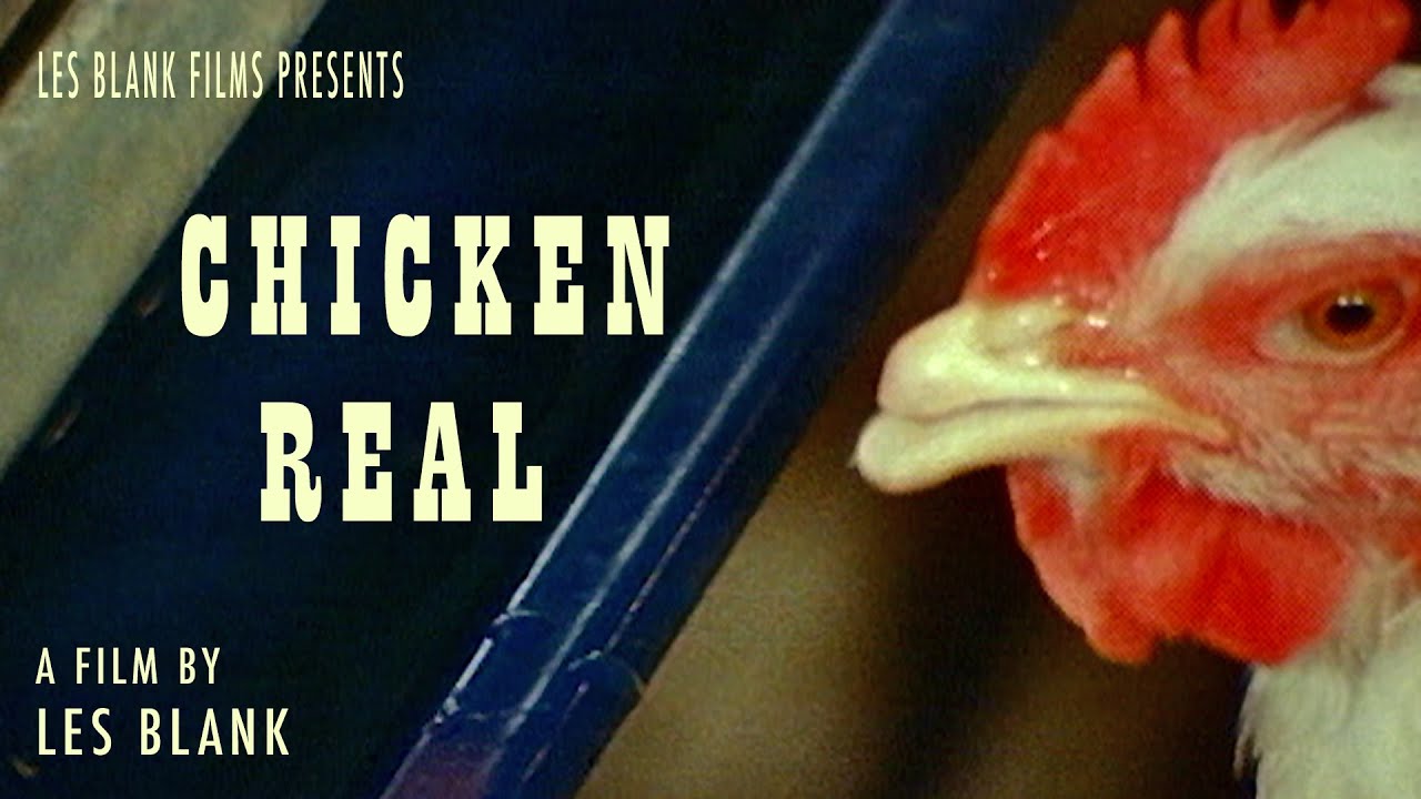 Chicken Real (TRAILER) - YouTube
