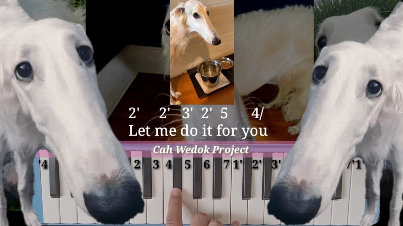 Let me do it for you - YouTube