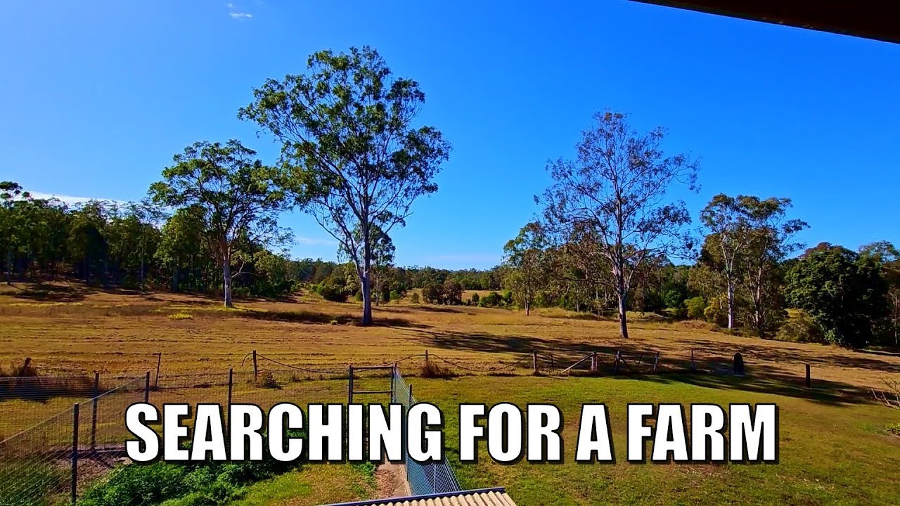 Farm Search Update - LIVE STREAM 🐂🐃🐖 - YouTube