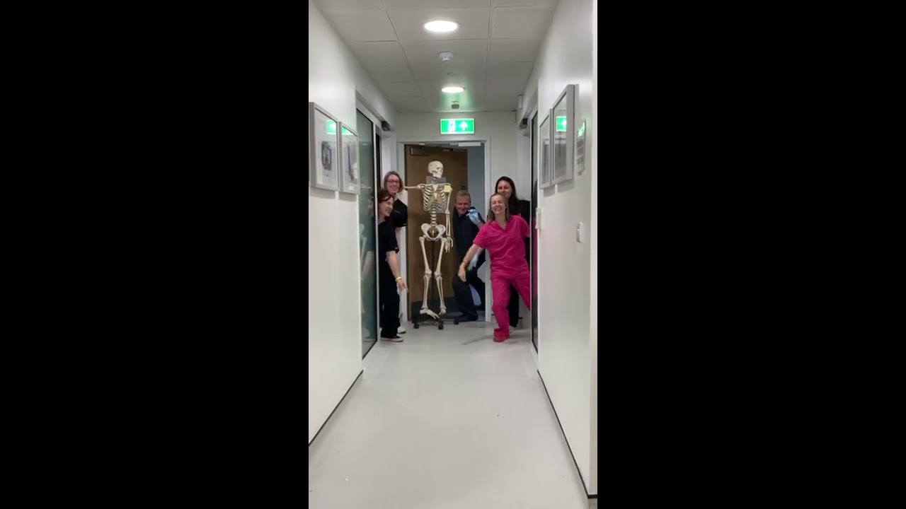 Meet our Anatomy Team - YouTube