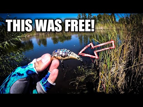 GARBAGE Fishing Challenge (Someone Threw THIS LURE in the TRASH ...