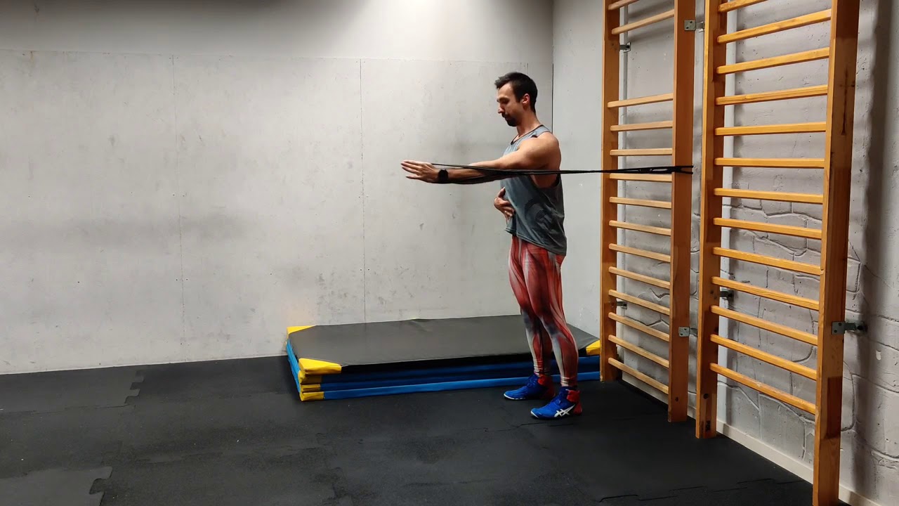 scapula protraction/retraction - YouTube