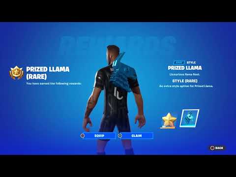 Fortnite Back Bling: RARE PRIZED LLAMA - YouTube