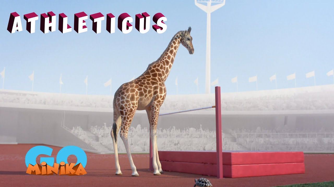 Athleticus 🐘🦒 | 4. Bölüm | minikaGO - YouTube