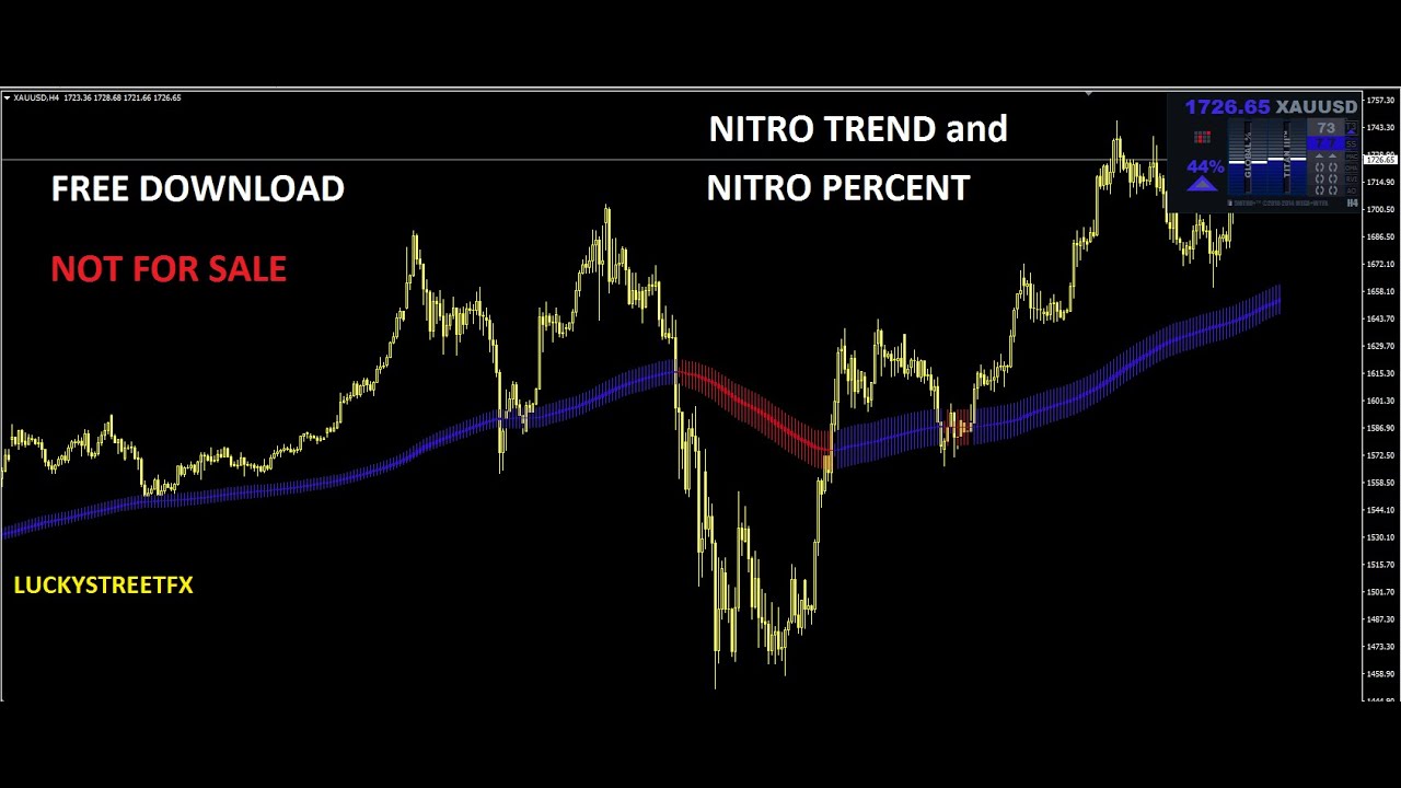 INDIKATOR NITRO TREND AND PERCENT - YouTube