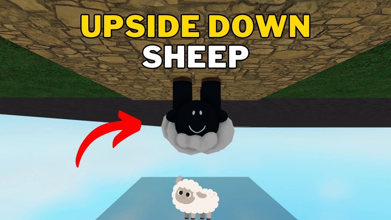 How To Get Upside Down Sheep in Find The Sheep | Roblox - YouTube