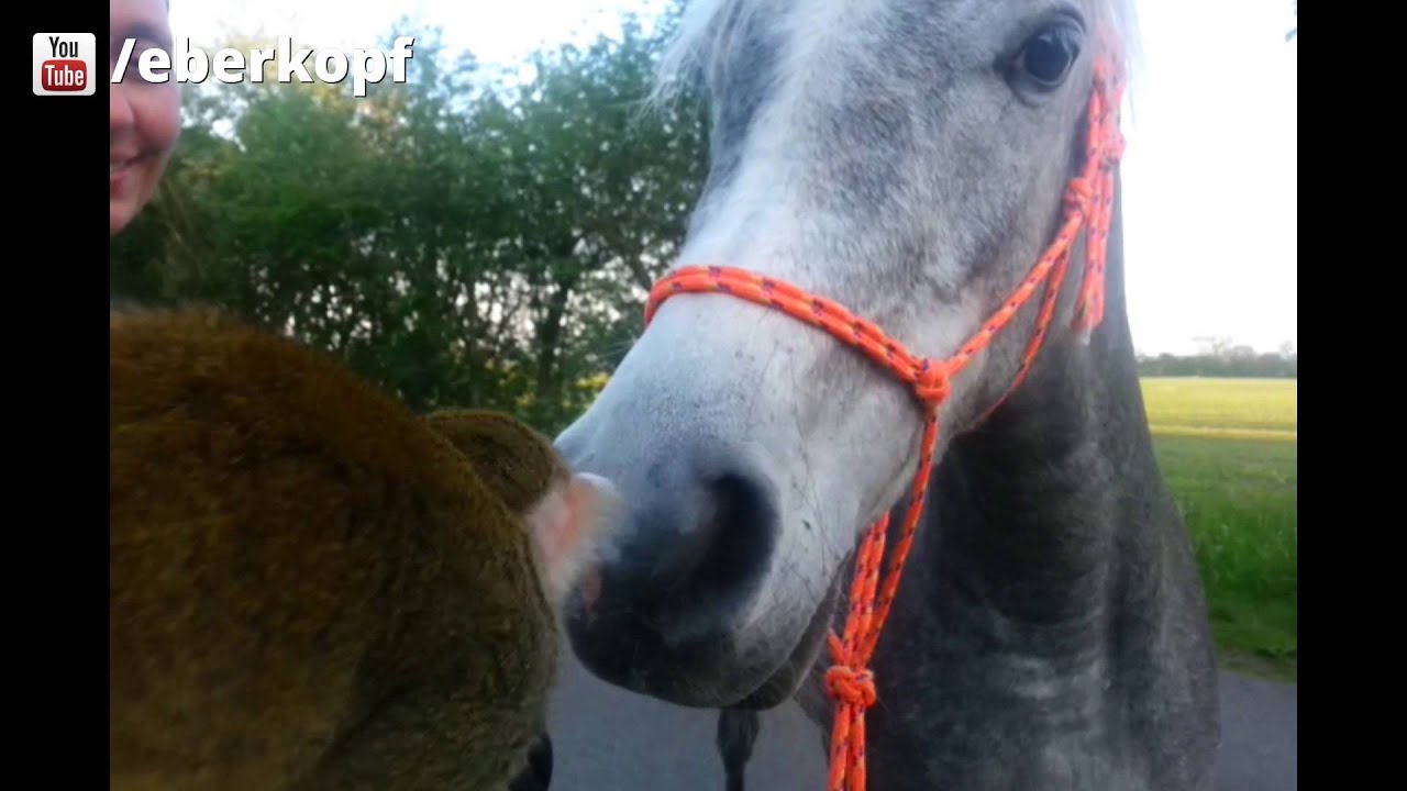 Pippi Longstocking´s cute pets - YouTube