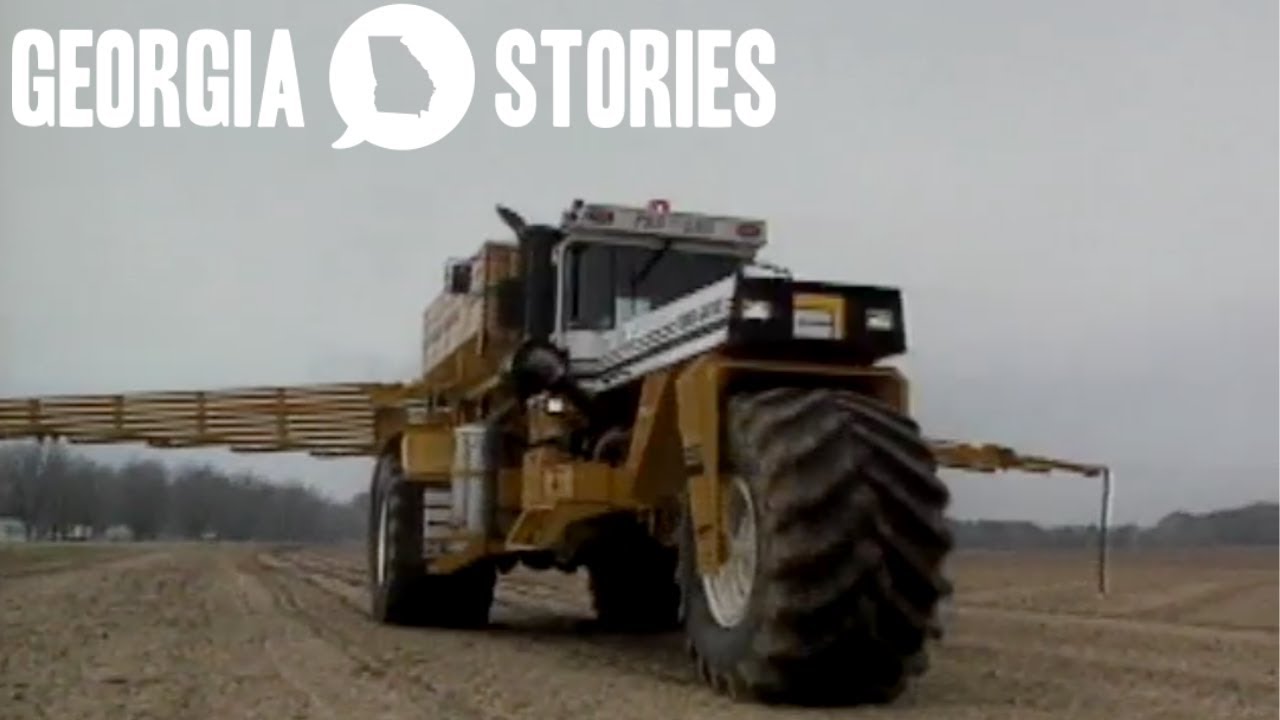 The History and Future of Georgia's Farms | Georgia Stories - YouTube