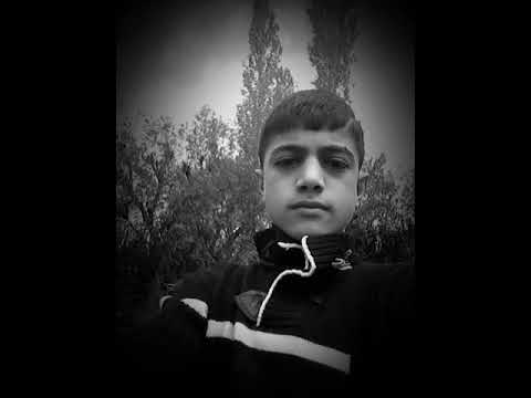 Pirikol mosu bərdəli