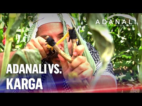 Adanalı vs. Karga - Adanalı Efsanesi