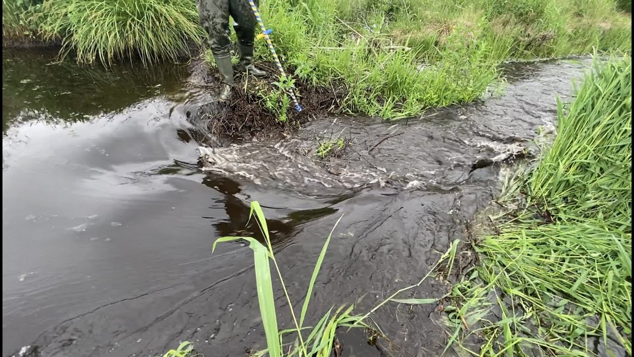 THE BEAVER DAM COLLAPSED ITSELF! - YouTube
