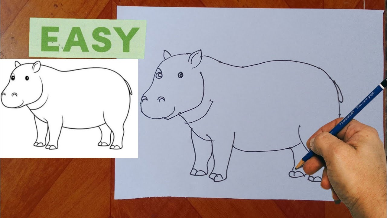 Easy hippopotamus drawing step by step/ Easy Animal drawing for kids ...