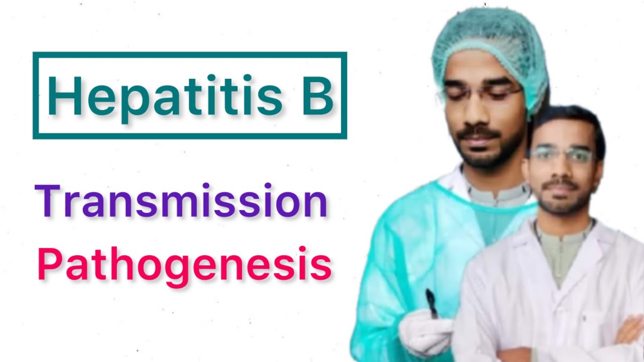 Hepatitis B | Transmission | Pathogenesis - YouTube