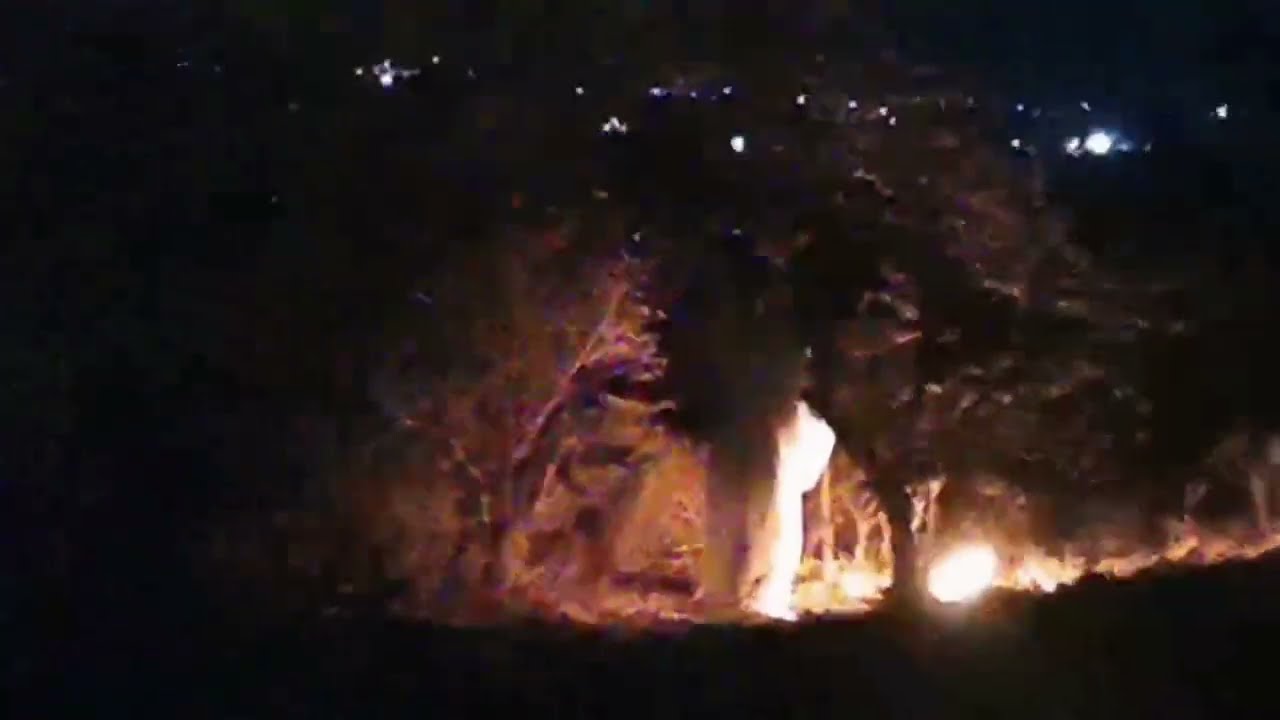 💥👹Se convertía en pájaro y la interrumpimos... parecia el LONGE MOCO💥👹 ...