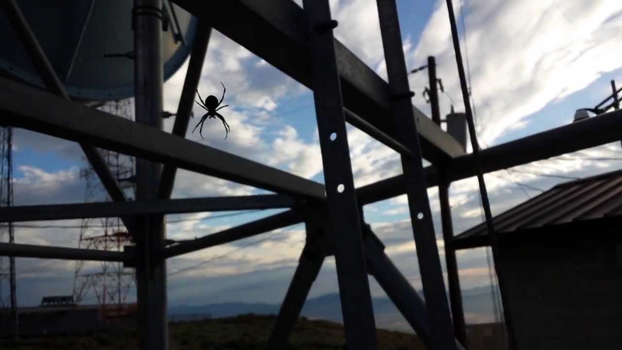 Creepy Spiders up on top of West Mountain Utah - YouTube